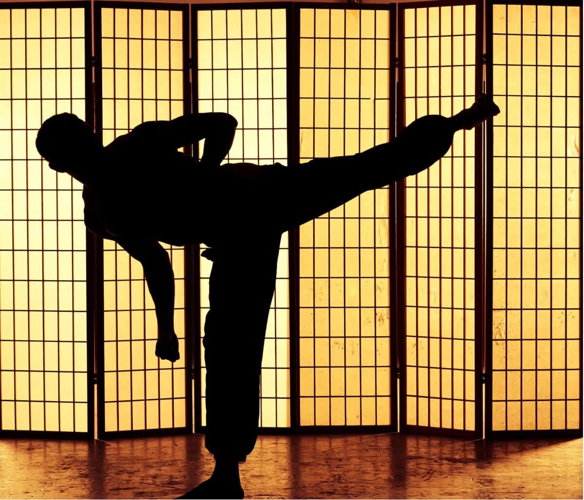 What Is Kenpo Karate Innovative Martial Arts Academy What Is Kenpo Karate Innovative Martial Arts Academy