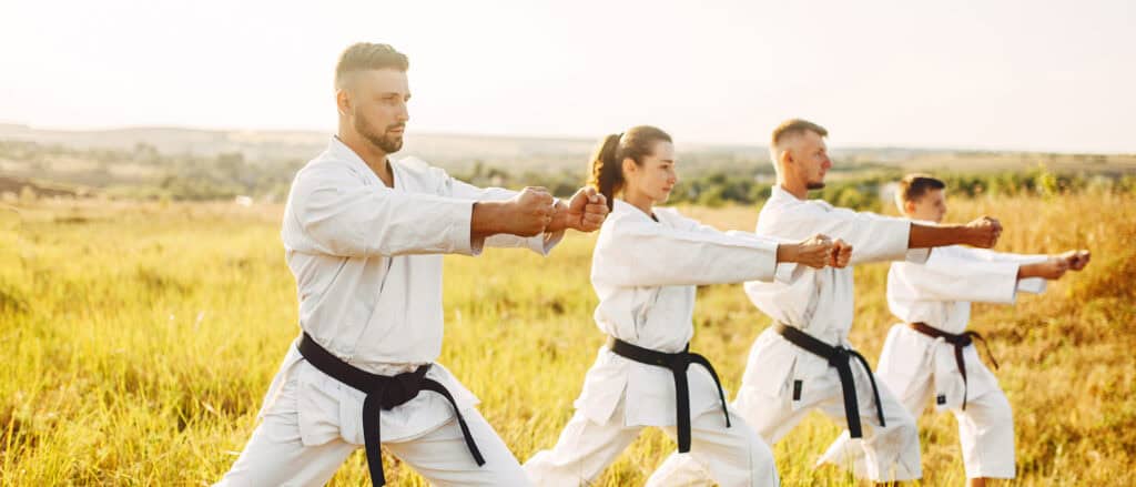 The Science Of Martial Arts | Innovative Martial Arts Academy