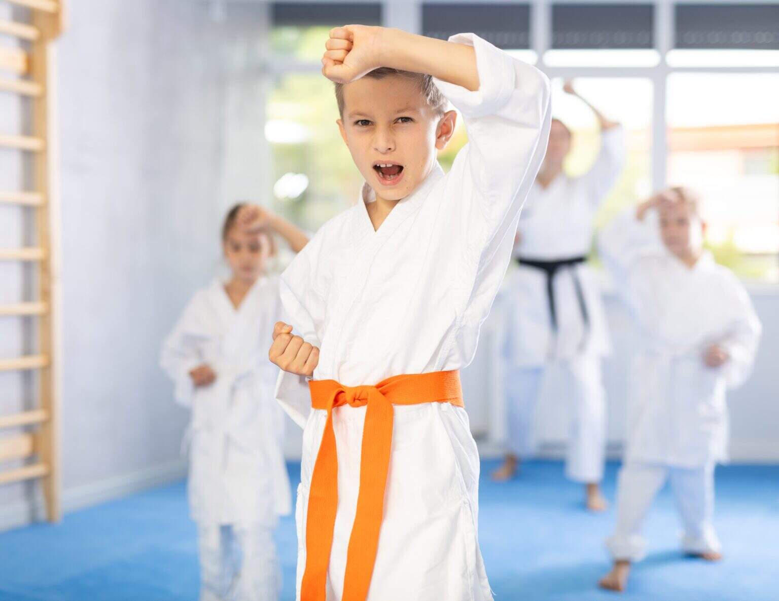 Karate And Self Defense Classes Near Wake Forest