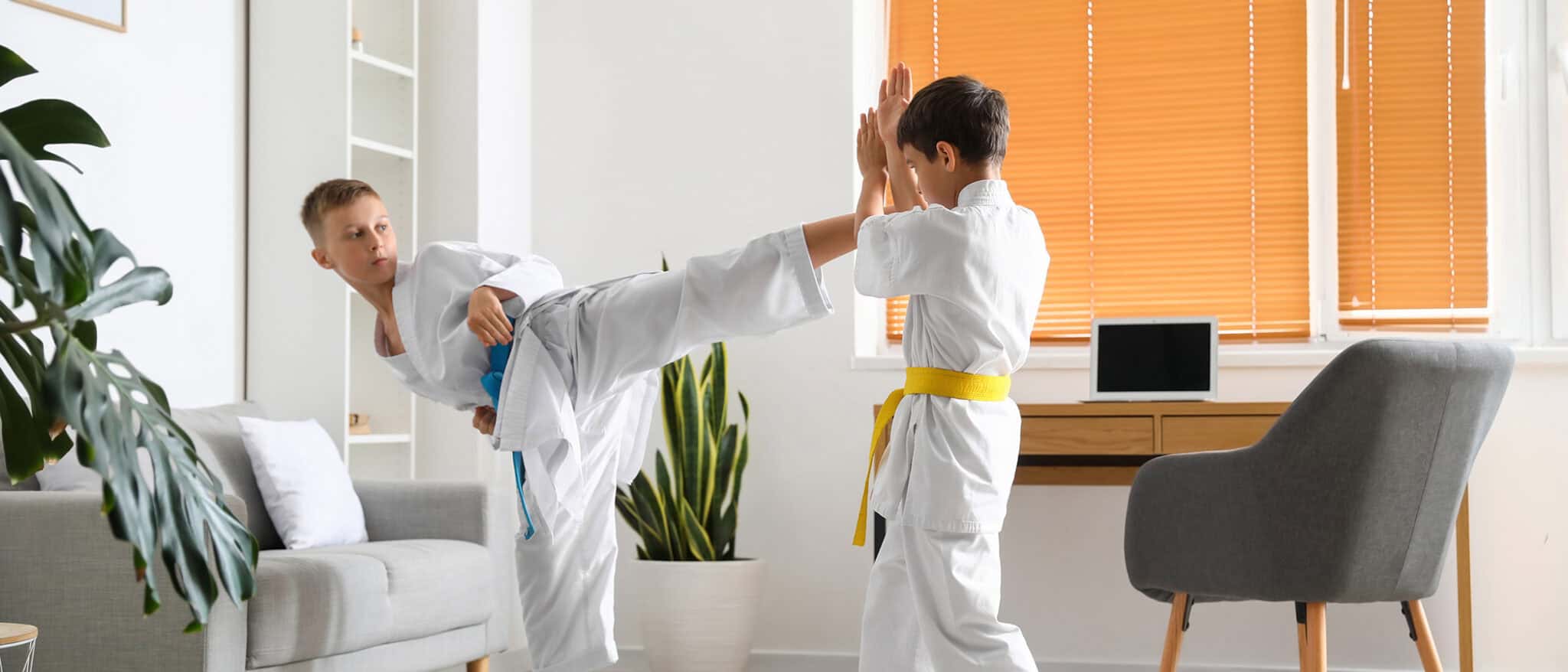 Adult And Kids Karate And Self Defense Classes Near You